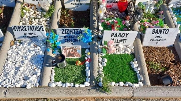 Θεσσαλονίκη: Αποτεφρωτήριο μέσα στον Φεβρουάριο σε νεκροταφείο ζώων ...