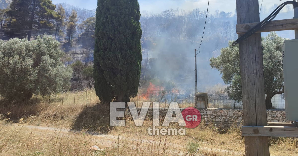 Φωτιά στο Αλιβέρι: Καλύτερη η εικόνα - Χωρίς ρεύμα οι κάτοικοι, πνέουν ...