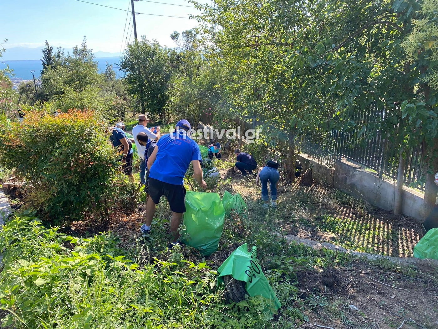 Θεσσαλονίκη: Πρόσκοποι καθάρισαν τον Κέδρινο Λόφο (φωτο & video)