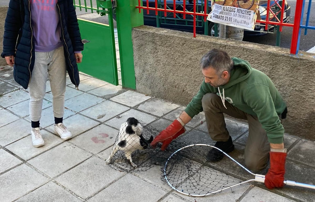 Θεσσαλονίκη: Εθελοντική ομάδα απεγκλώβισε γάτα που είχε μπλεχτεί σε ...