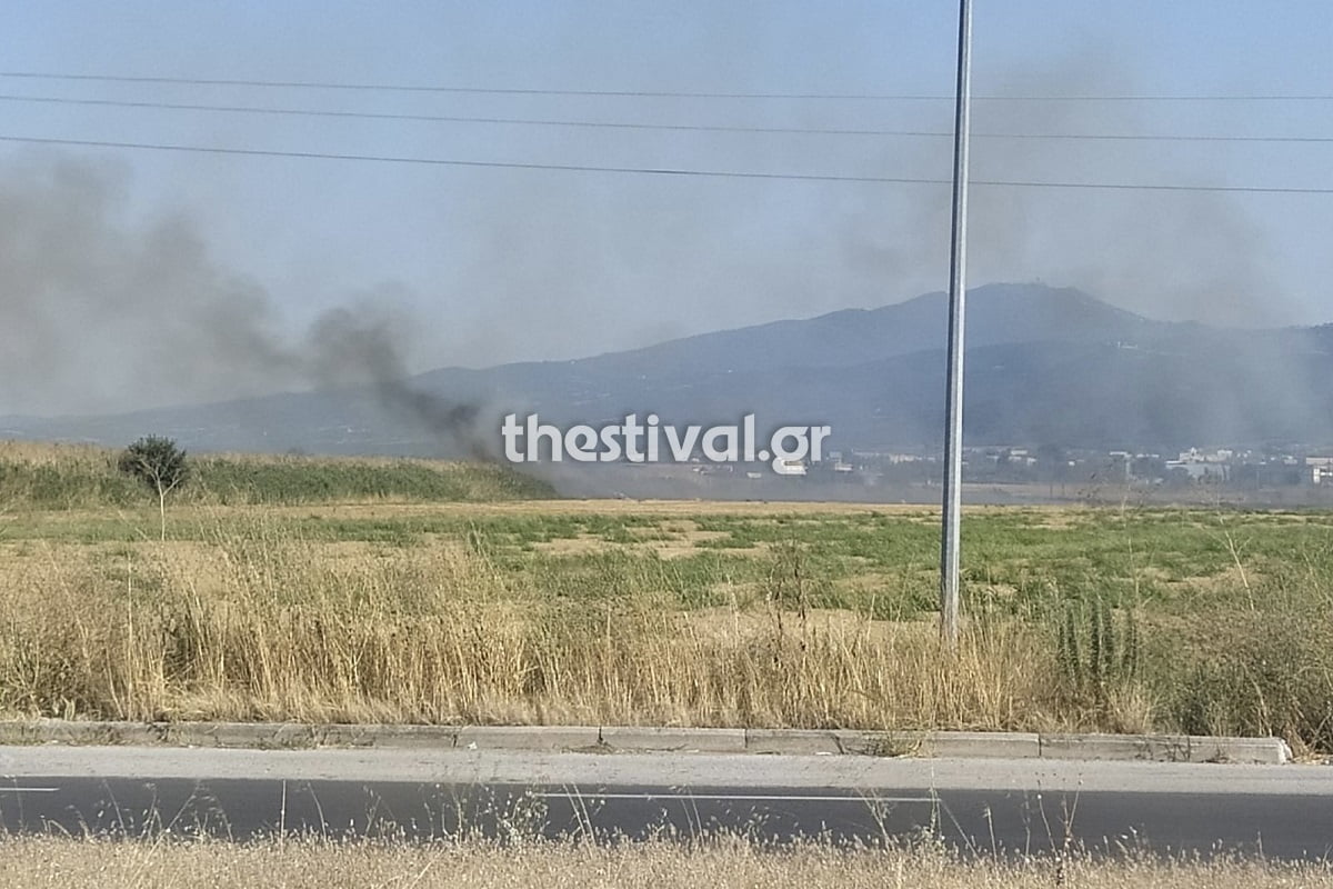 ΤΩΡΑ στη Θεσσαλονίκη: Φωτιά σε αγροτική περιοχή έξω από τον Λαγκαδά ...