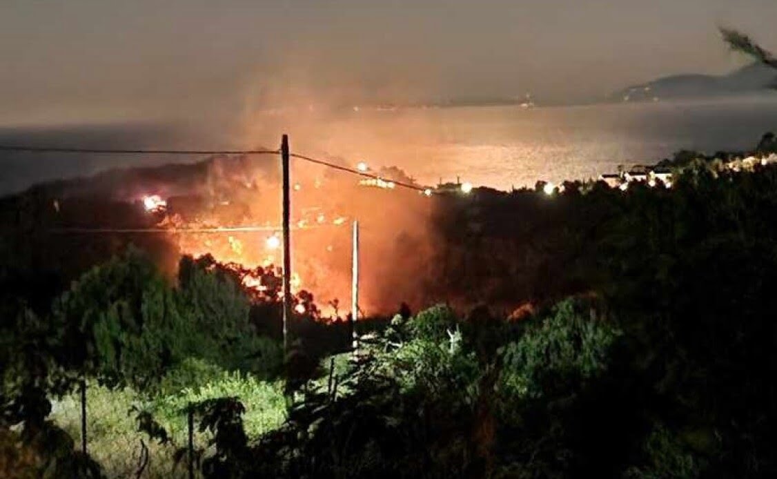 Κεφαλονιά: Πυρκαγιά στην περιοχή Σπαρτιά