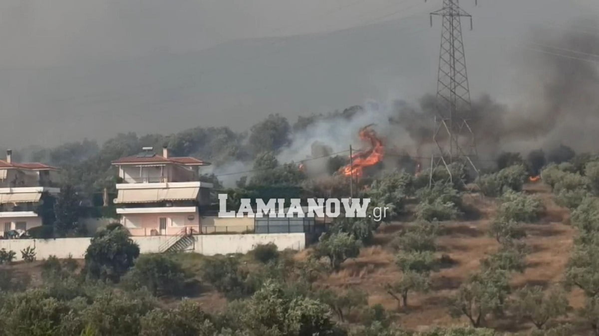Λαμία: Πύρινη κόλαση στον Αφανό - Εκκενώνονται Νέα Μαγνησία, Μεγάλη ...