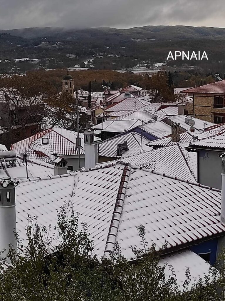 Η Χαλκιδική "ντύθηκε" στα λευκά - Υπέροχες εικόνες με χιονισμένα τοπία!