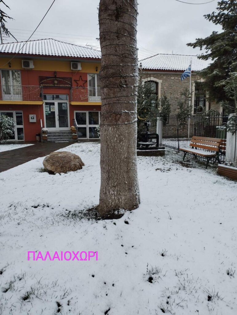 Η Χαλκιδική "ντύθηκε" στα λευκά - Υπέροχες εικόνες με χιονισμένα τοπία!