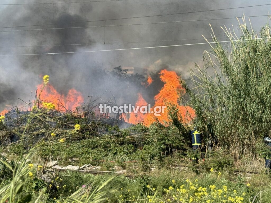 Φωτιά σε ξερά χόρτα και απορρίμματα στη δυτική Θεσσαλονίκη (φωτο & video)