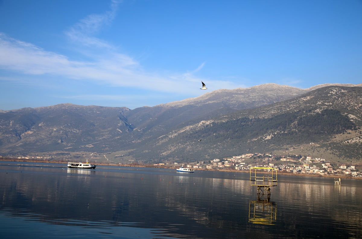 Ιωάννινα: Σκυλιά επιτέθηκαν σε ηλικιωμένο και τον έριξαν στη λίμνη
