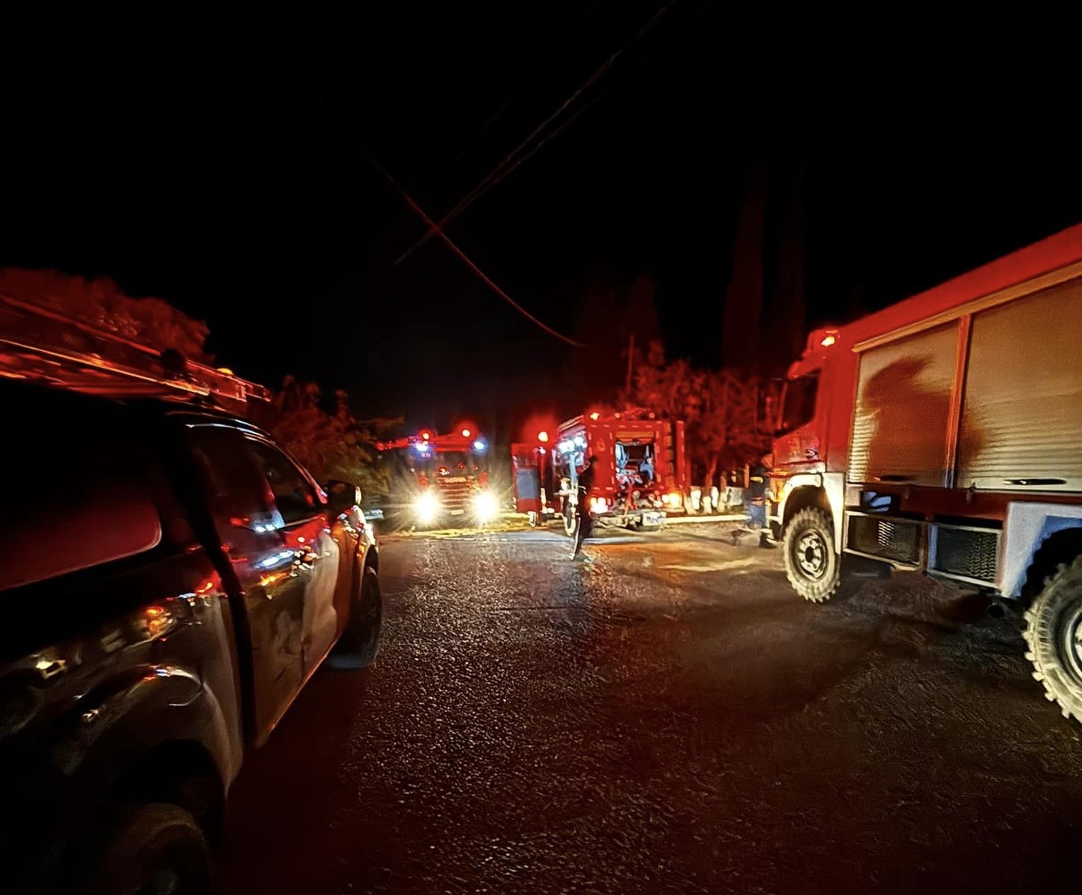 Θεσσαλονίκη: Πυρκαγιά τα ξημερώματα έξω από τα Κοιμητήρια Πεύκων (φωτο)