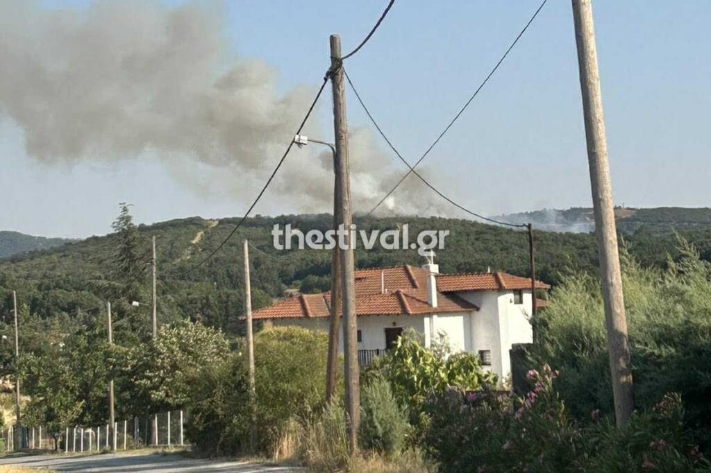 Θεσσαλονίκη: Φωτιά στο δάσος του Φιλύρου - Μεγάλη κινητοποίηση της ...